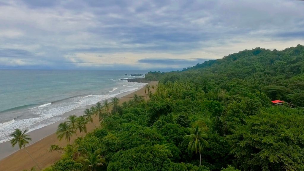 The Rainforest Ocean Setting - Ocean Forest Ecolodge