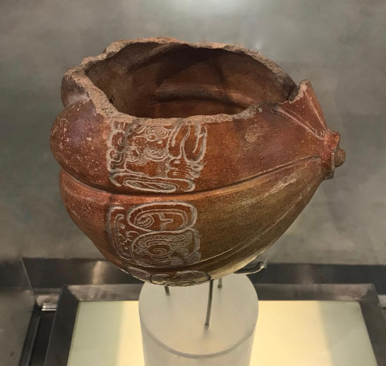 CACAO ~ The World Tree and Her Planetary Mission - Ocean Forest Ecolodge