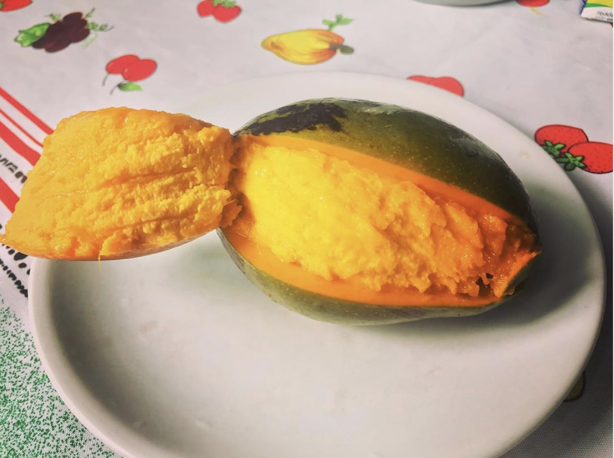 Take a Journey Through the Senses of your Elements - Ocean Forest Ecolodge