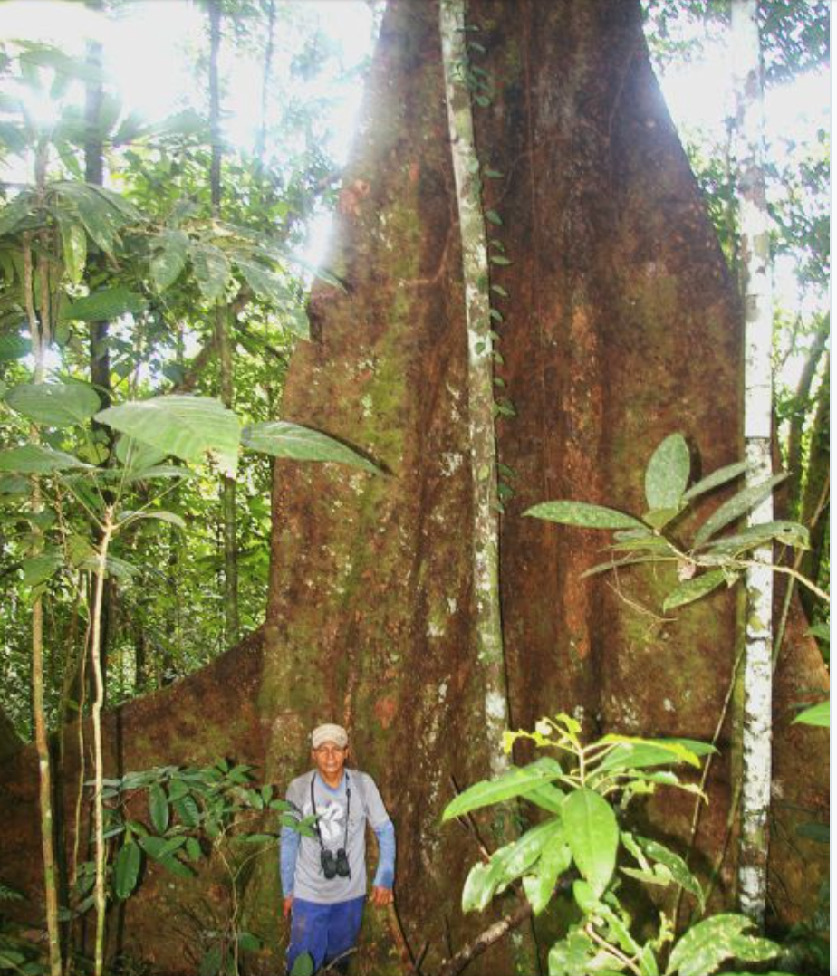 Conservation Adventures at the Epicenter of Botanical Diversity ...